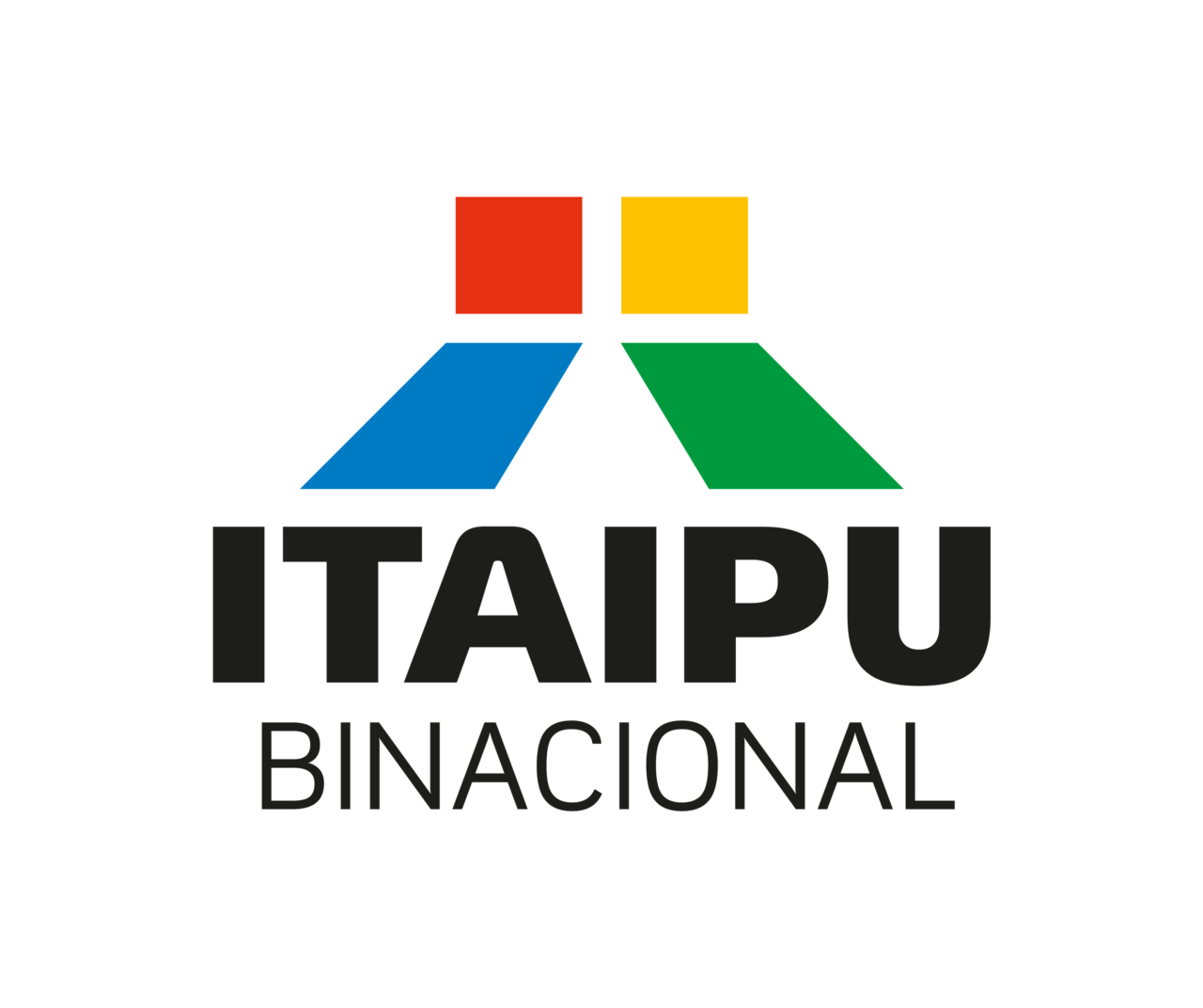 PACIER | Comite Nacional paraguayo de la CIER