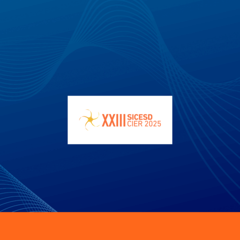 XXIII Seminario Internacional SICESD – “Caminos para la Excelencia en ...